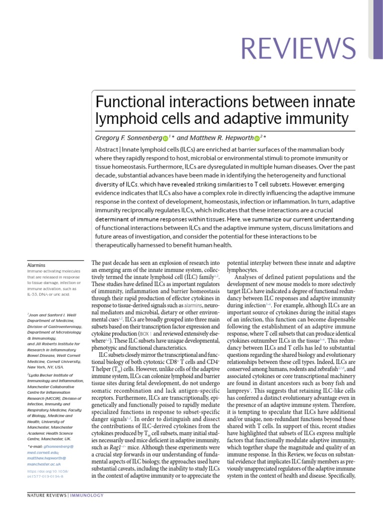 Functional Interactions Between Innate Lymphoid Cells and Adaptive Immunity-1 | PDF | Immune ...