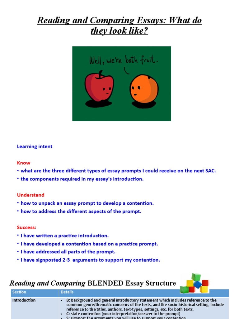 L13 Read & Comp Writing Guide MBC & P51 | PDF | Essays