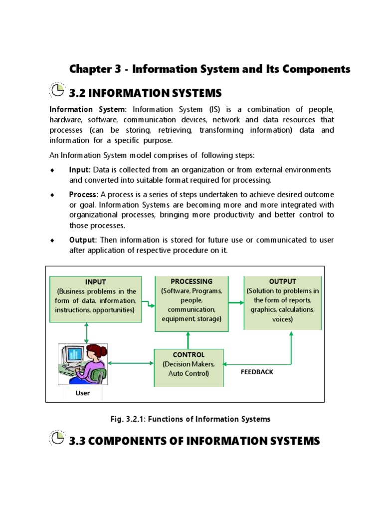 Chapter 3 - Information System and Its Components | PDF | Computers