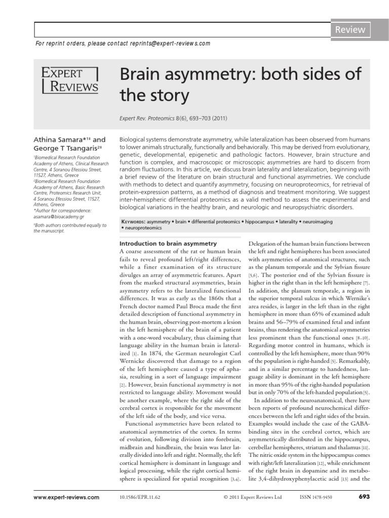 BRAIN ASYMETRY Exp Rev Prot | PDF | Functional Magnetic Resonance ...