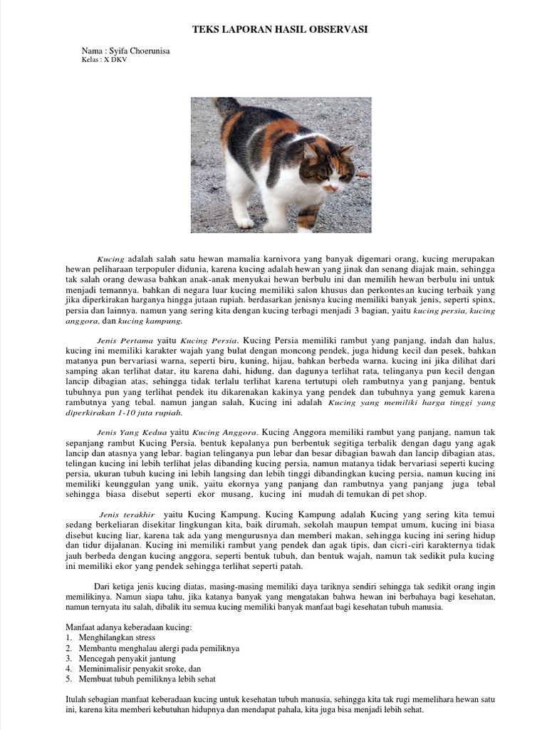 PDF Teks Laporan Hasil Observasi Kucing | PDF