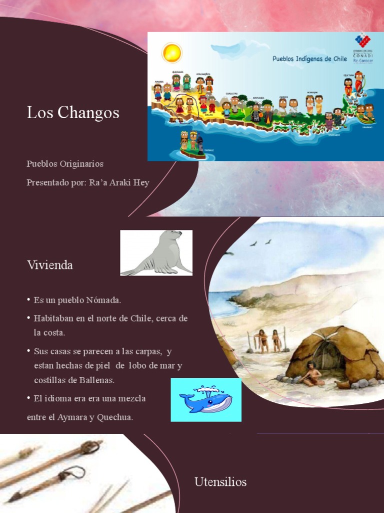 Vivienda y Vestimenta de los Changos | PDF | Hogar, jardinería y bricolaje