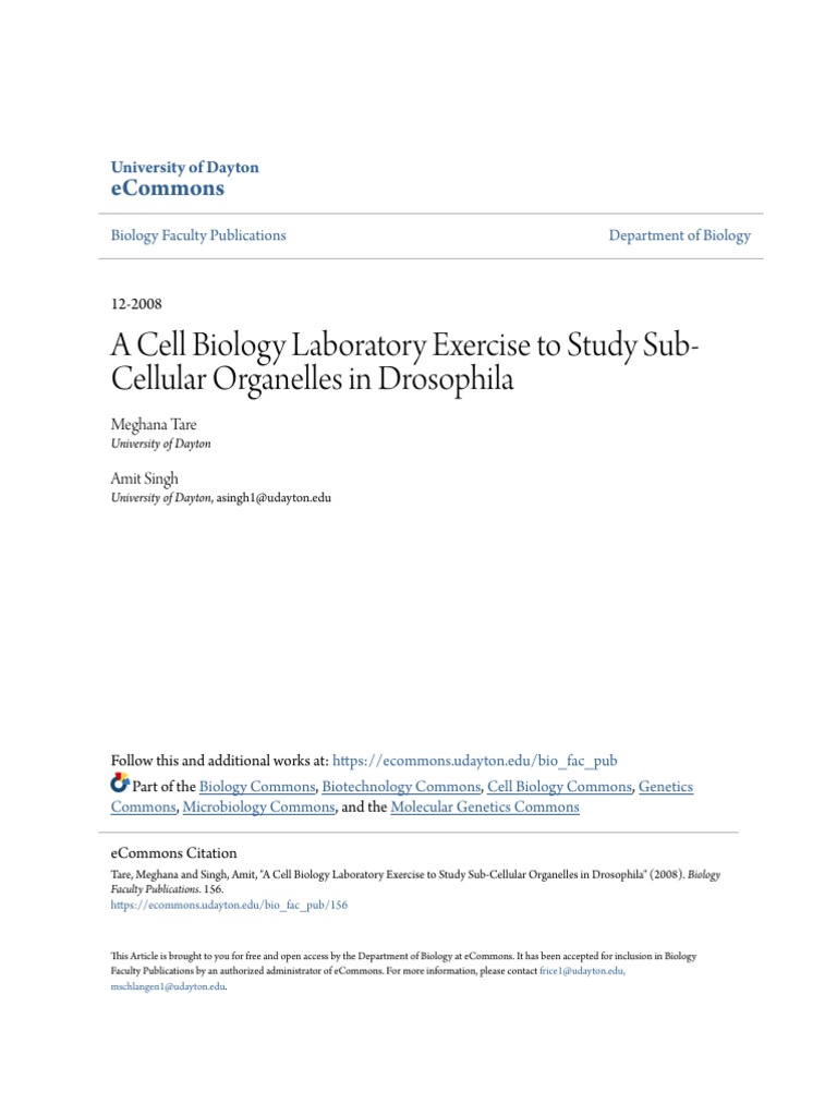 A Cell Biology Laboratory Exercise To Study Sub-Cellular Organell | PDF ...