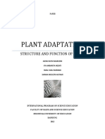 Daintree Rainforest Food Web Overview | PDF