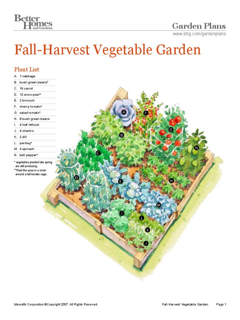 Fall Harvest Vegetable Garden | PDF | Mulch | Trees