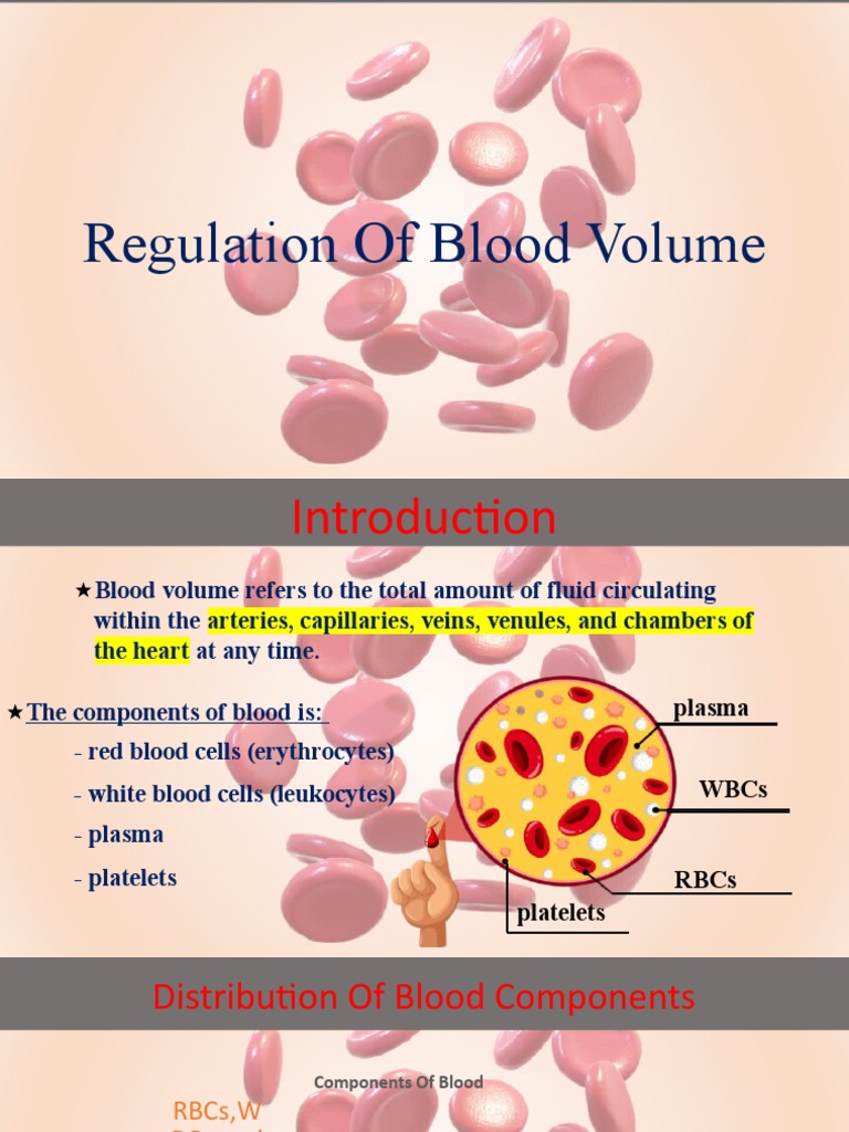 Regulation of Blood Volume | PDF