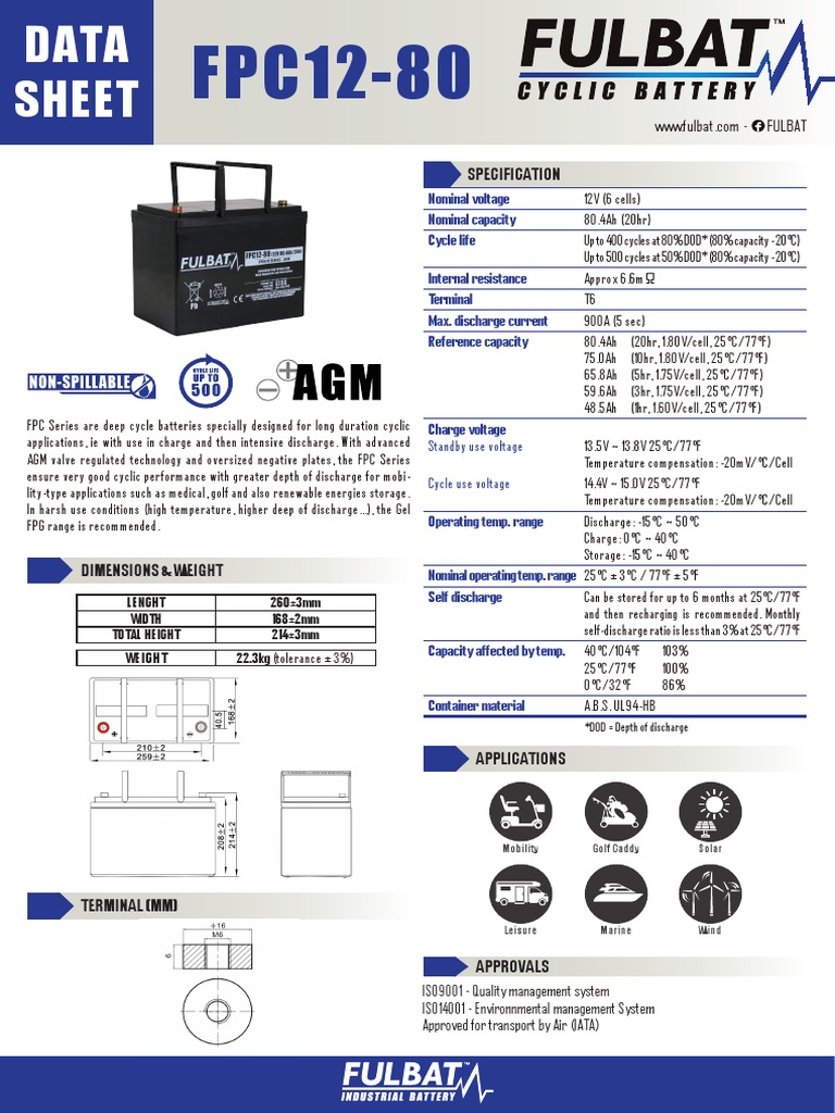 FT FPC12-80 Cyclic AGM 2020 | PDF | Electrical Engineering | Electricity