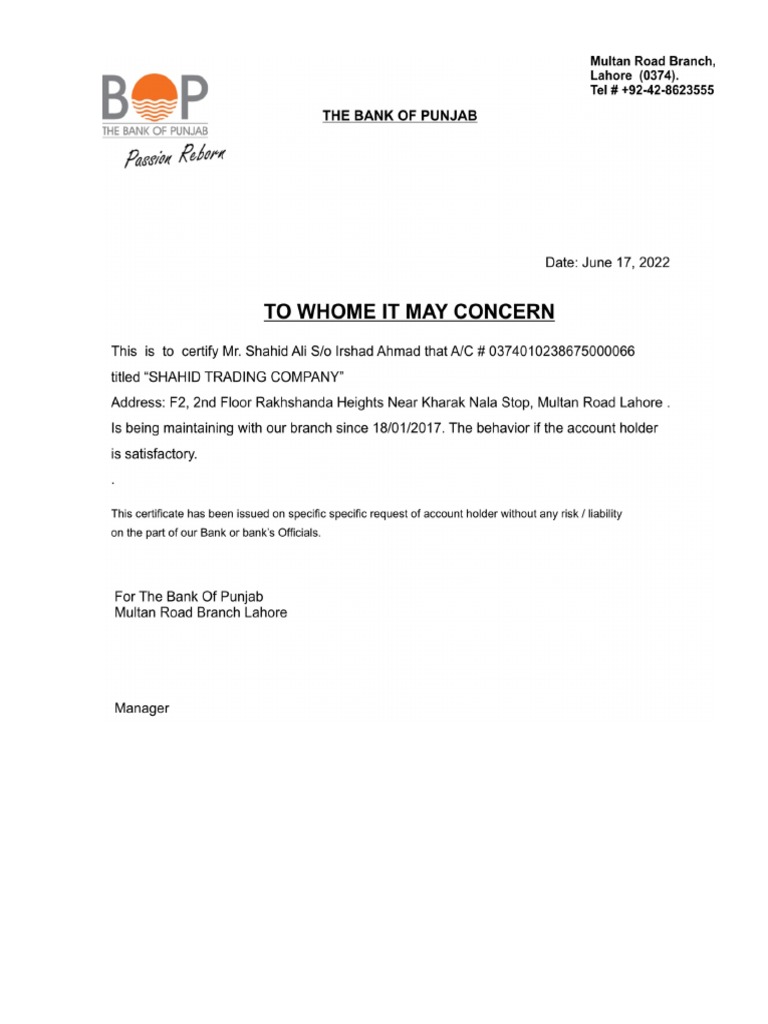 Pakistan Bank Statement | PDF