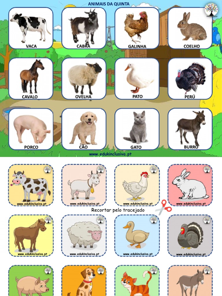Animais Da Quinta - Nivel 2 | PDF