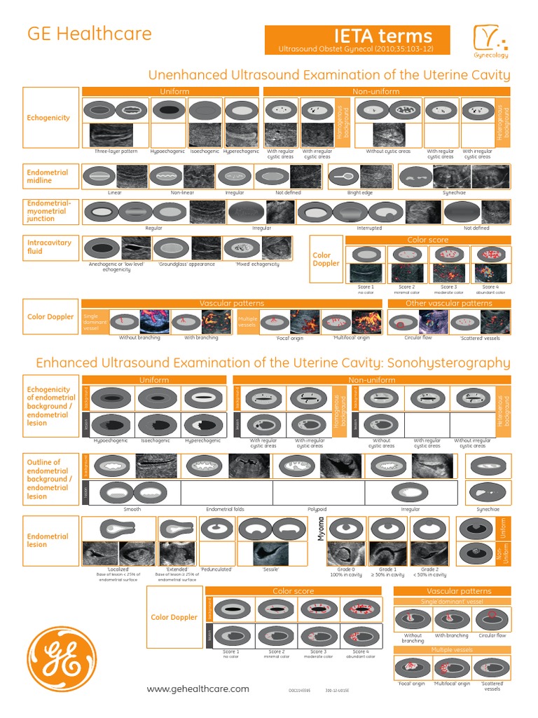 Ieta 2010 Resumen. General Electric | PDF | Ultrasound | Clinical Medicine