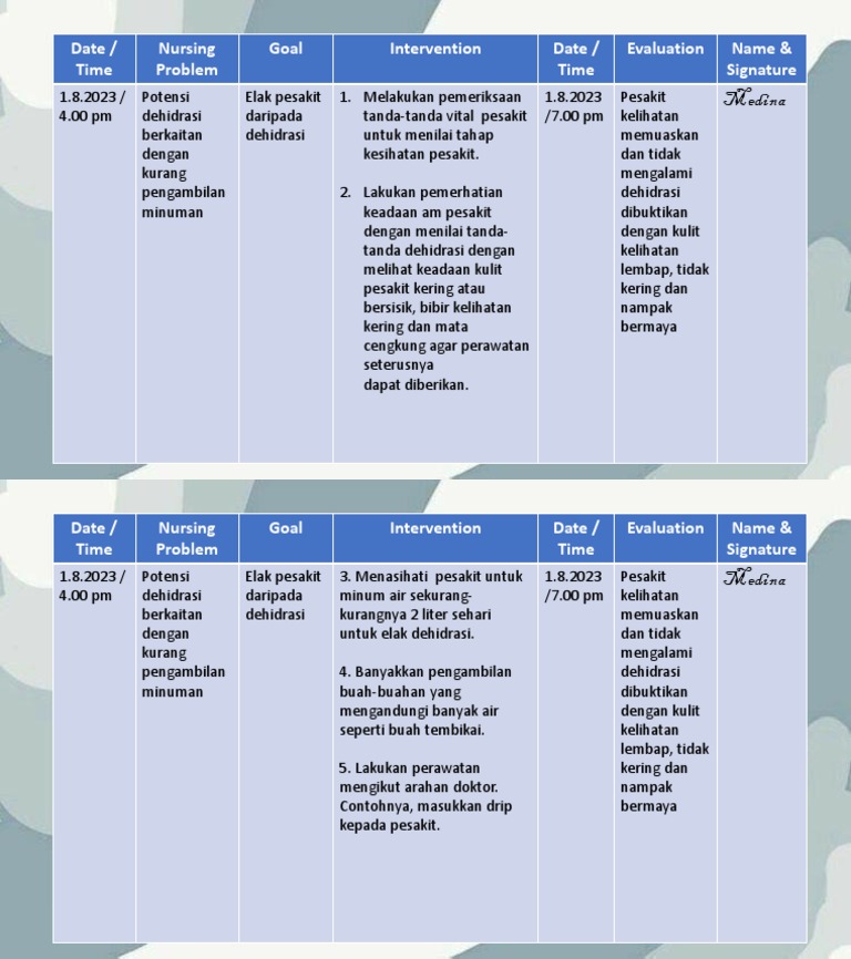 Nursing Process | PDF