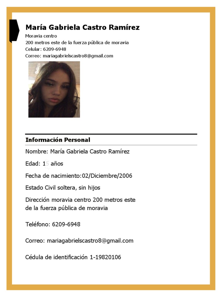 CV Gabriela C | PDF