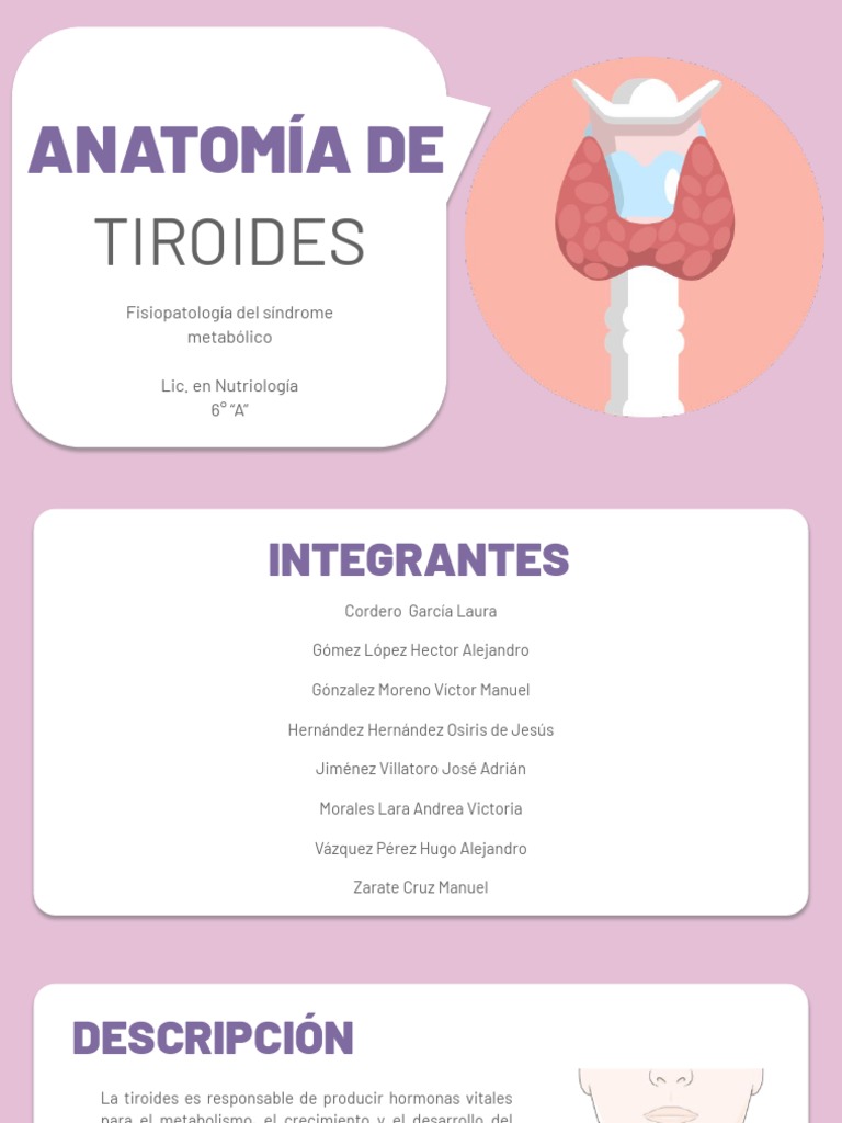 Anatomía de La Tiroides | PDF