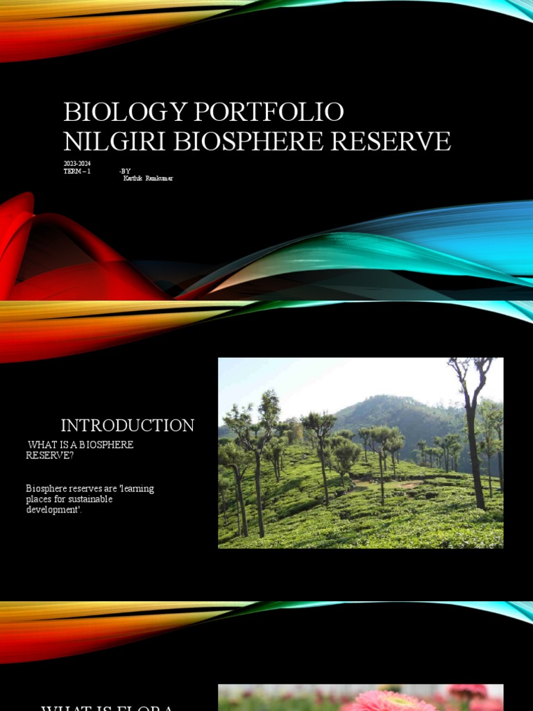Biology Portfolio | PDF