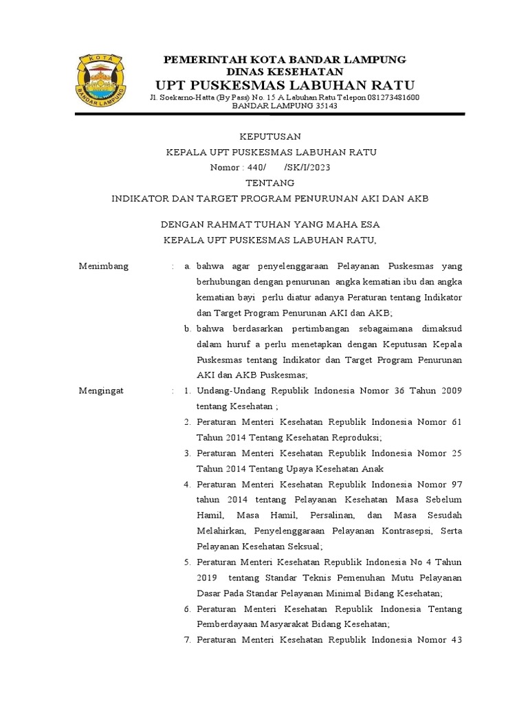 SK Program Penurunan AKI Dan AKB | PDF