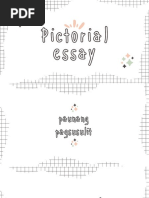 Pictorial Essay | PDF