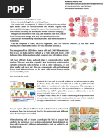 Name: Virtual Microscope by BIONETWORK: Online Edition | PDF | Optical ...