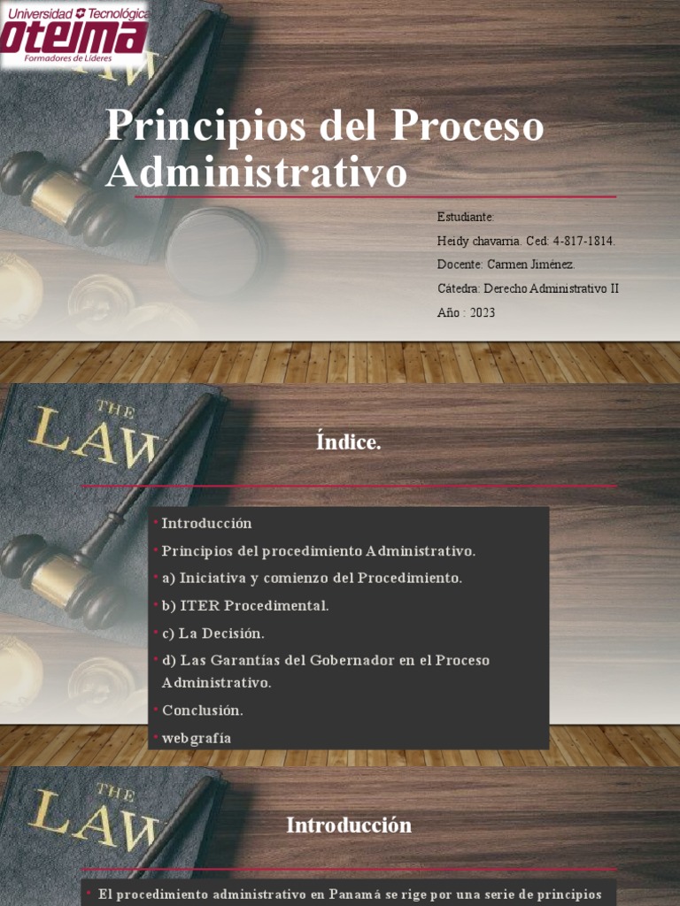 Principios Del Proceso Administrativo | PDF | Administración Pública | Participación pública