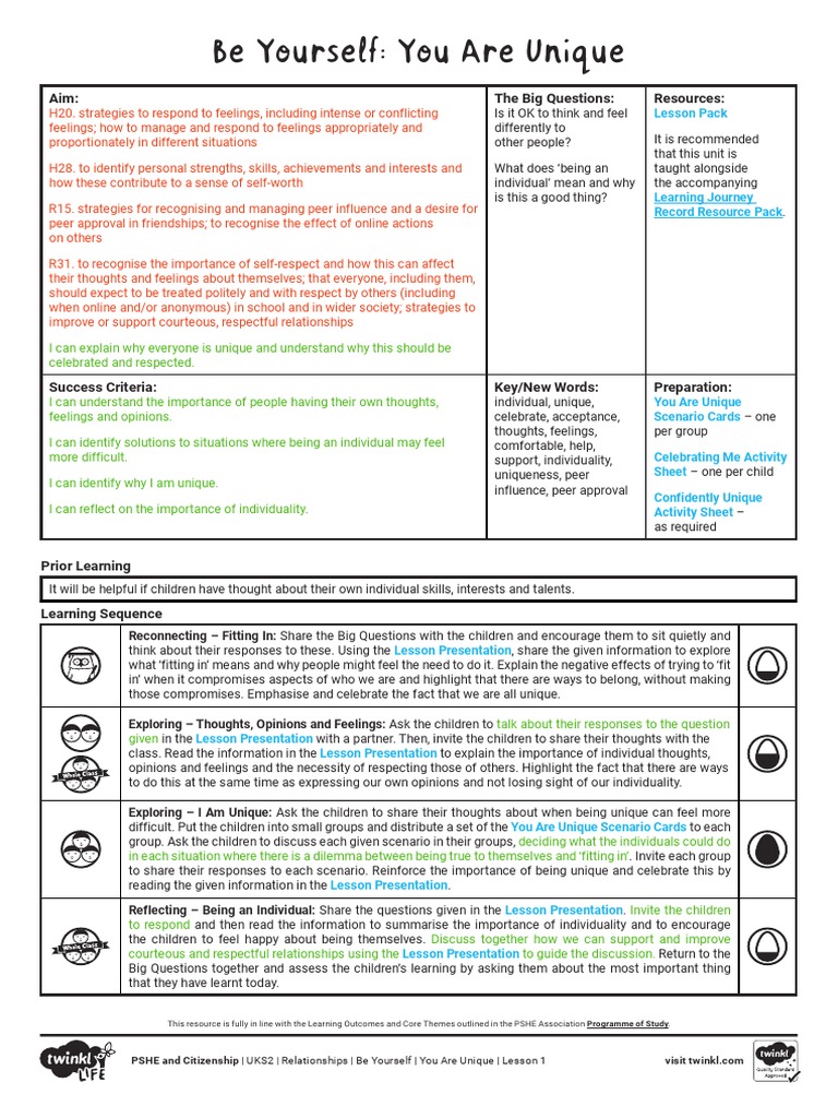 You Are Unique Lesson Plan | PDF