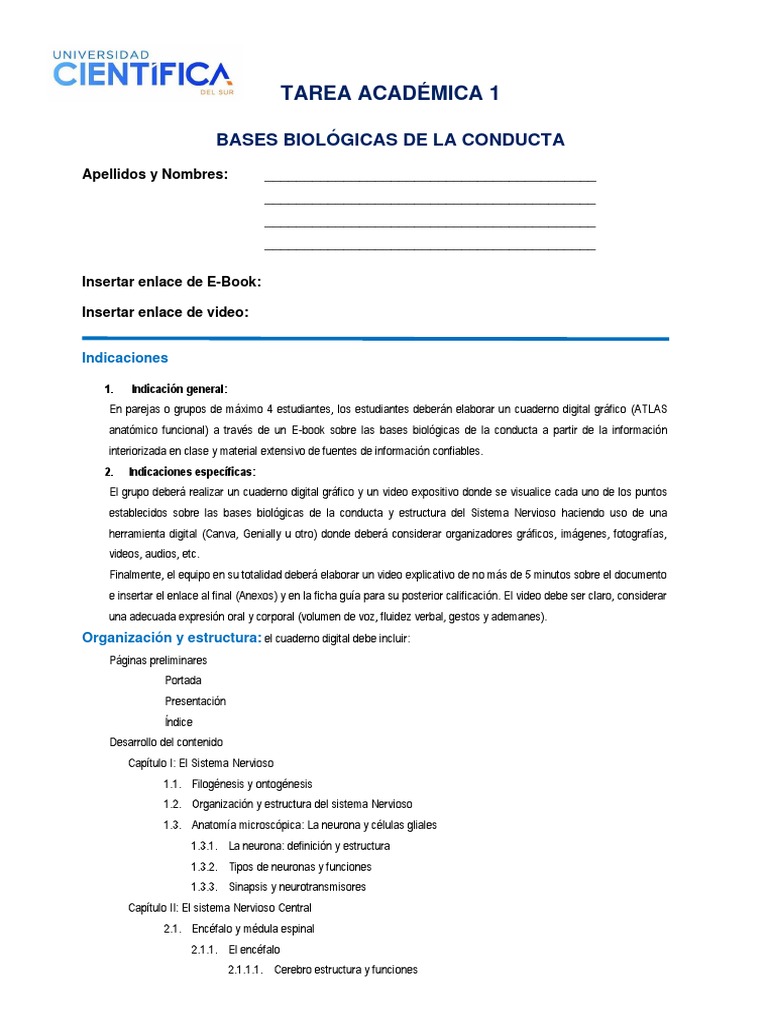 Ficha Guia para Tarea Académica 1 (TA1) | PDF