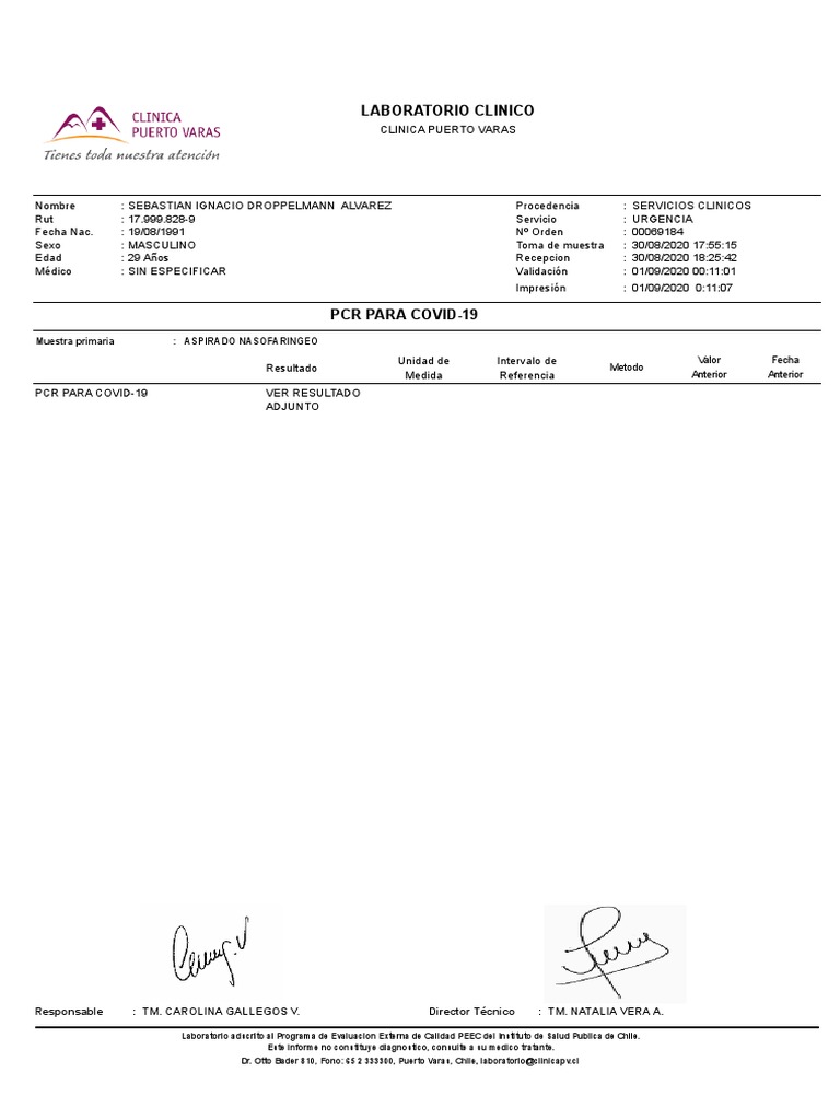 Informe PCR | PDF | Especialidades Medicas | Medicina