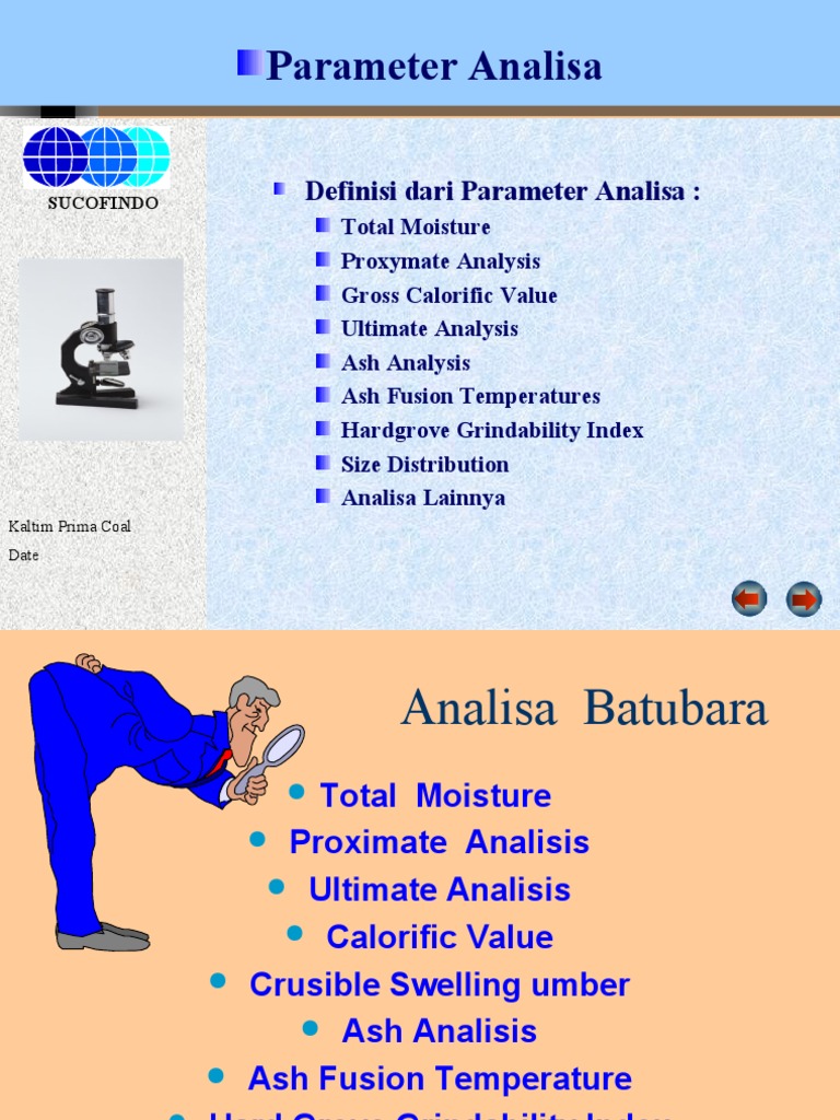 Coal Analysis Parameter | PDF | Thermodynamics | Nature