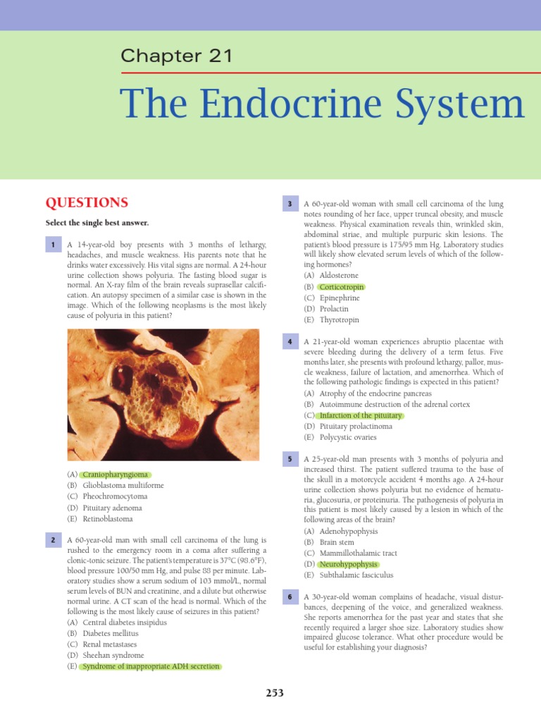 Rubins-Q A ENDOCRINE | PDF | Thyroid | Adrenal Gland