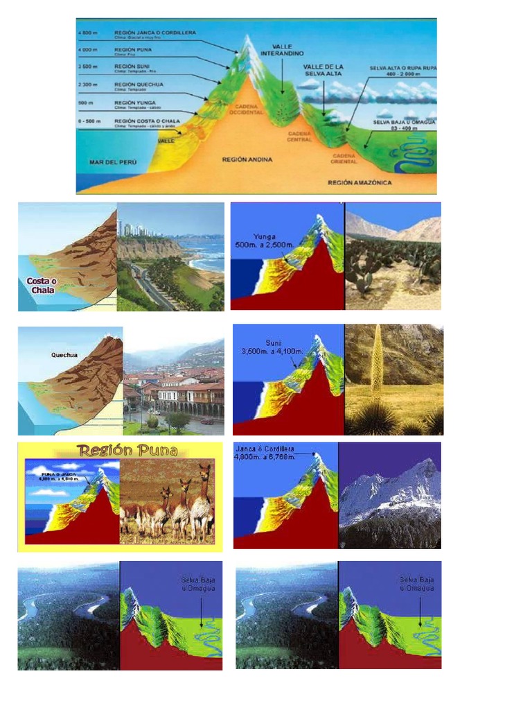8 Regiones Naturales Del Peru | PDF