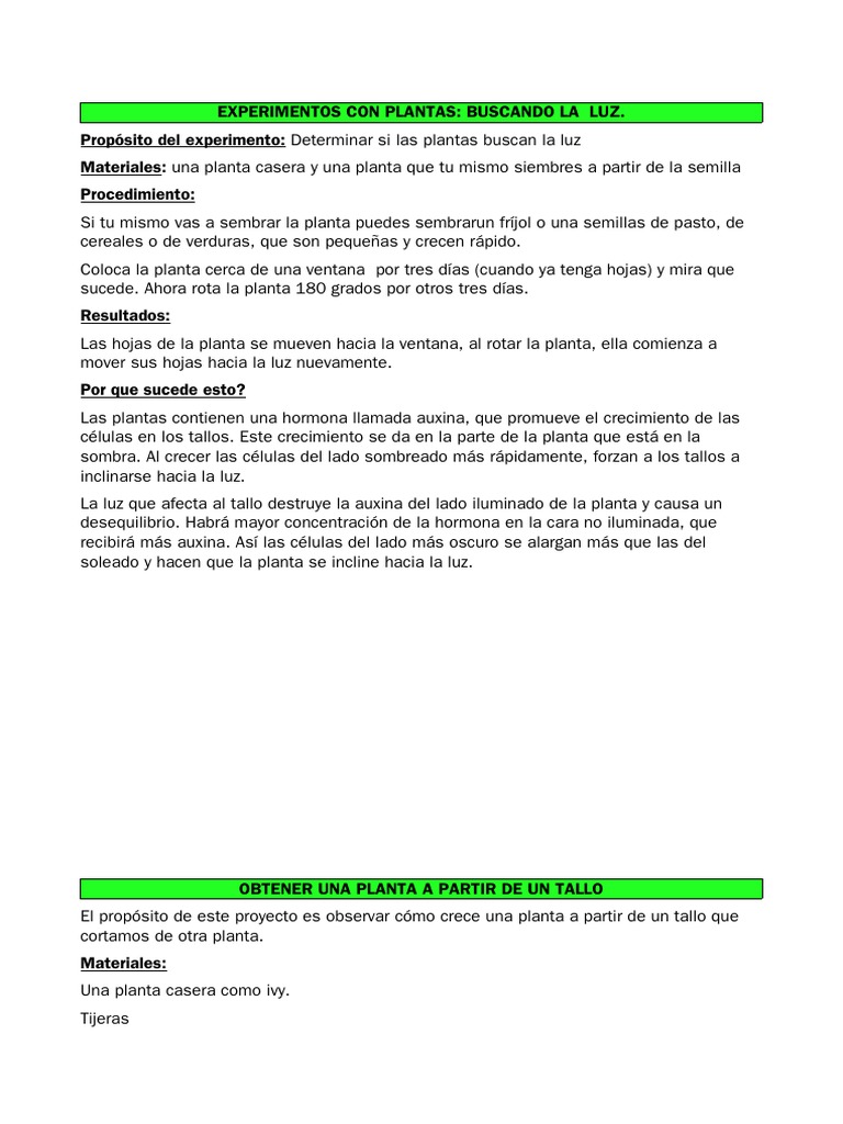 Experimentos de Plantas y Luz | PDF | Hoja | Plantas