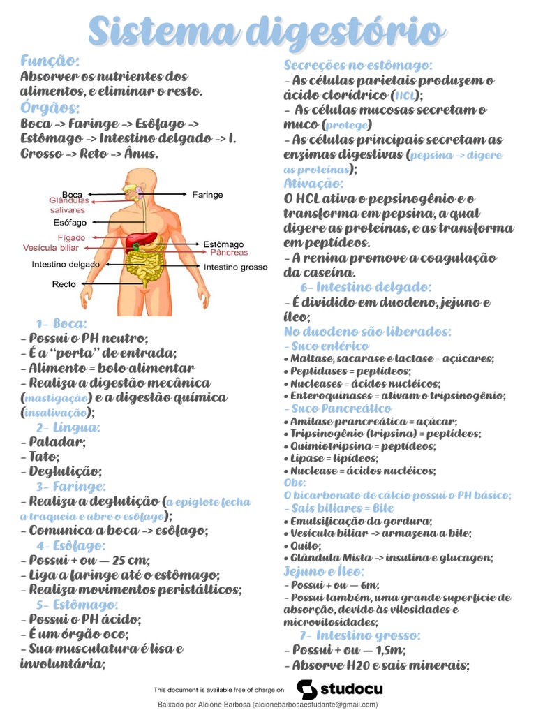 Sistema Digestório Mapa Mental Pdf Digestão Sistema Digestivo