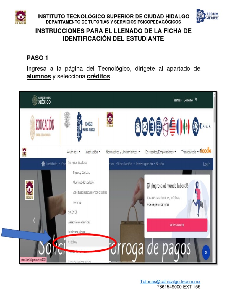 INTRUCTIVO PARA EL LLENADO DE FICHA DE IDENTIFICACIÓN STA | PDF | Informática