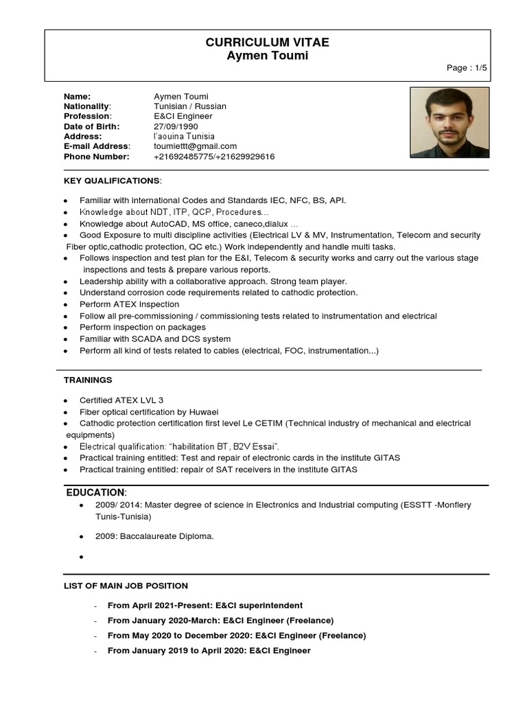 Aymen CV - Eng | PDF | Optical Fiber | Photovoltaic System