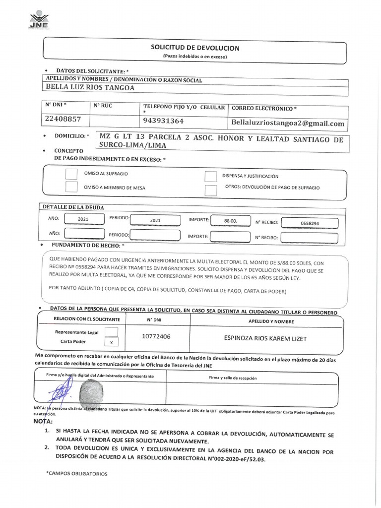 Documentos de Jne | PDF