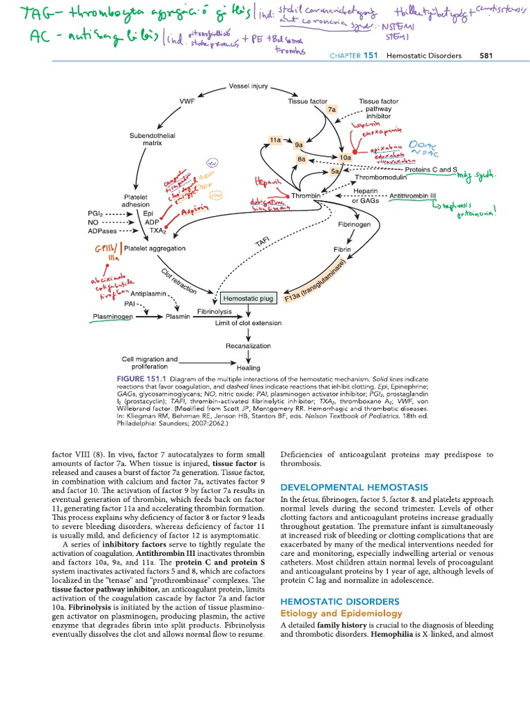 Coagulation | PDF