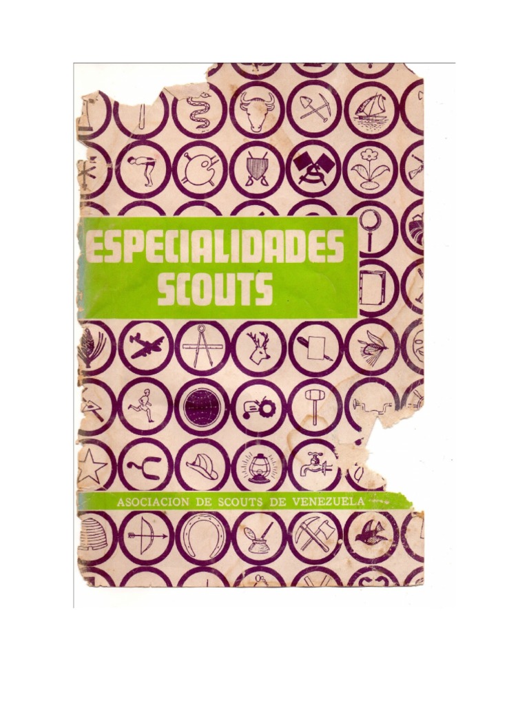 Manual de Espec | PDF