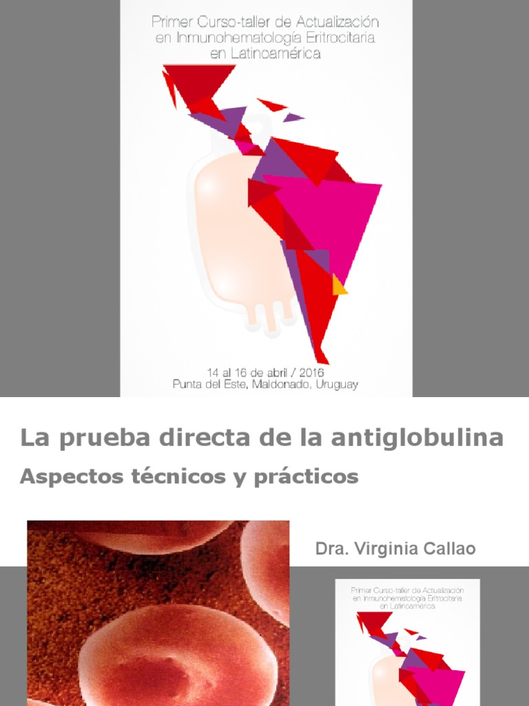 AHAI-Curso IHM - Uruguay 2016 | PDF
