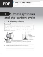 Year 8 Breathing and Respiration | PDF | Respiratory System | Breathing