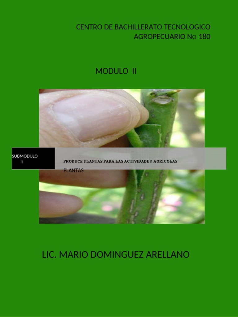 Modulo 2 Submodulo II | PDF | Mitosis | Flores