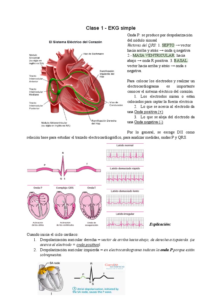 Semio y Clínica Cardio | PDF | Electrocardiografia | Infarto de miocardio