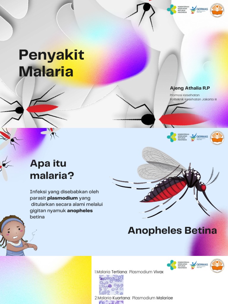 Leaflet Informasi Penyakit Malaria | PDF