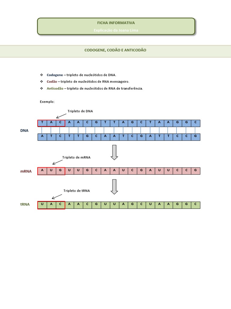 Codogene, Codão e Anticodão | PDF