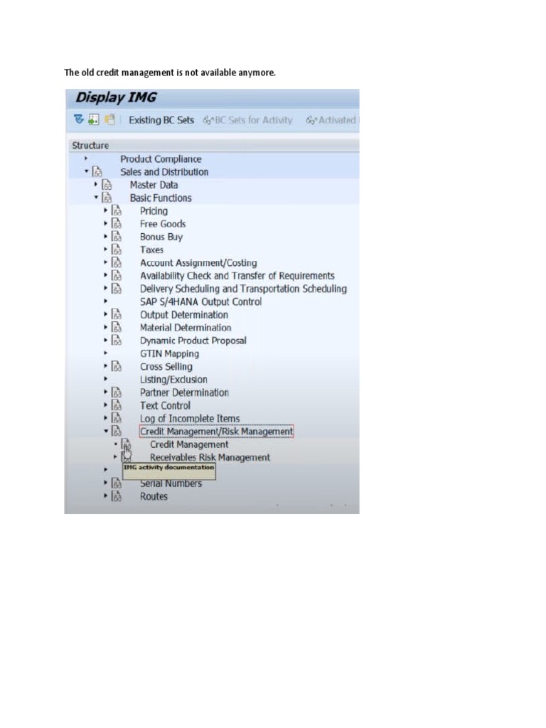 FSCM Credit Management | PDF