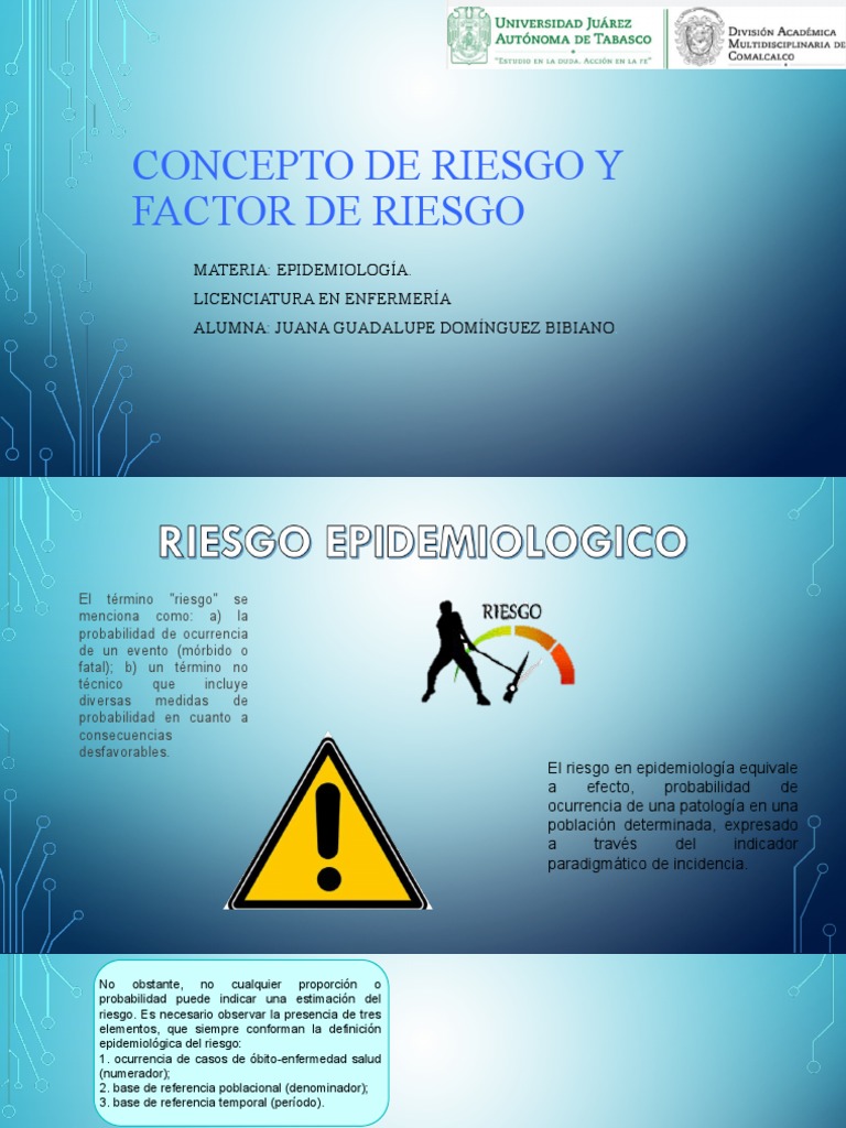 Riesgo Pdf Riesgo Factor De Riesgo