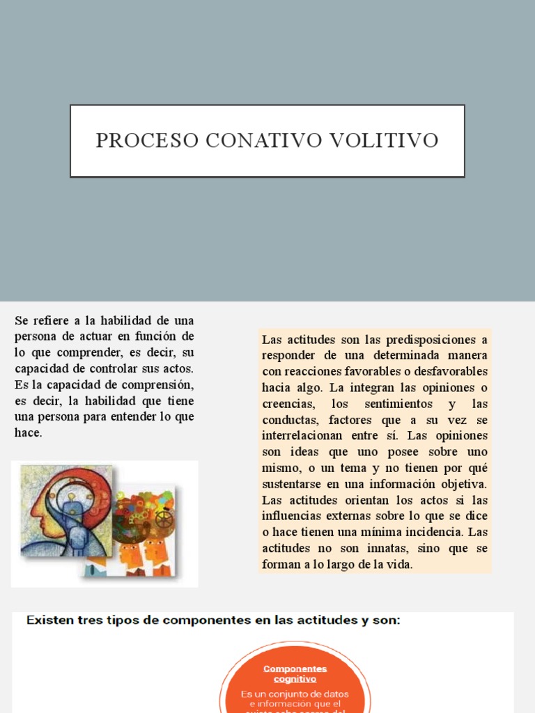 Proceso Conativo Volitivo | PDF | Comportamiento | Estereotipos