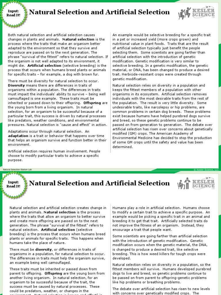 Read+It!+Natural+Selection+and+Artificial+Selection | PDF | Natural ...