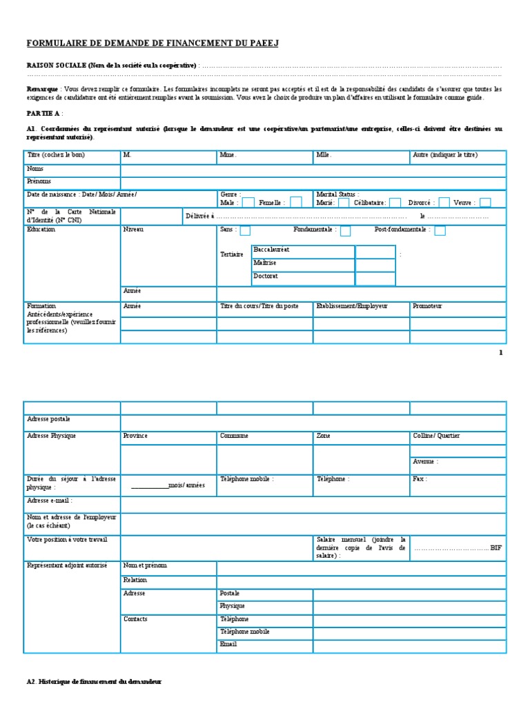 Formulaire de Demande de Financement PAEEJ FR 4 | PDF | Immobilisations | Business