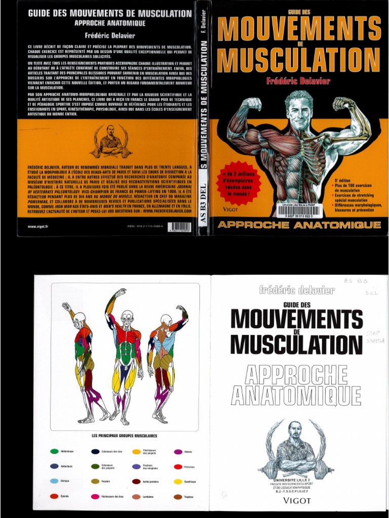 Delavier (Musculation) Guide Des Mouvements de Musculation | PDF