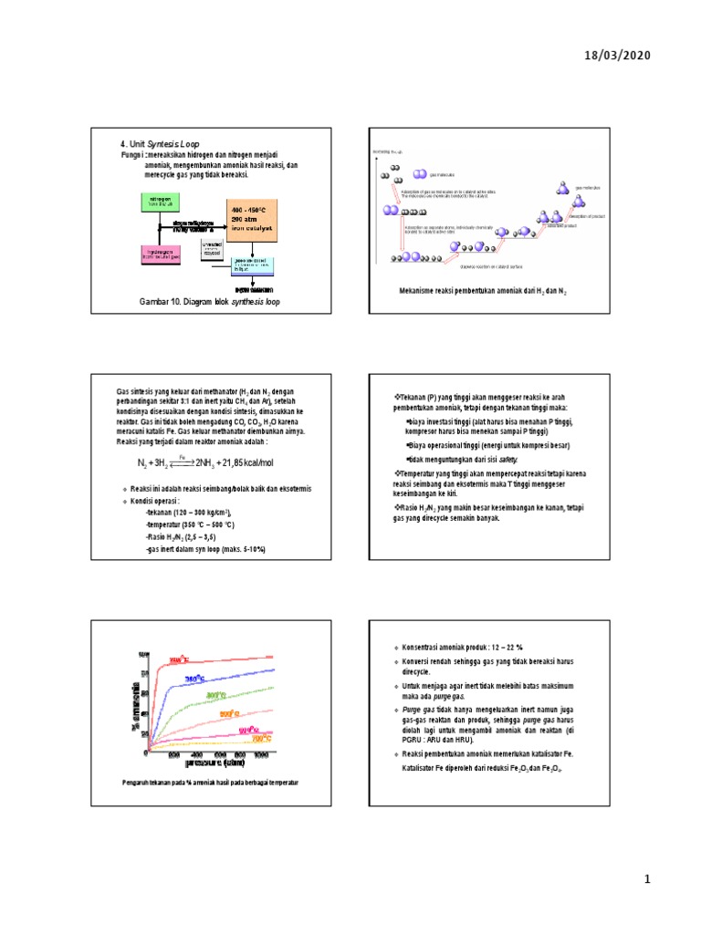 4 NH3-SynLoop | PDF