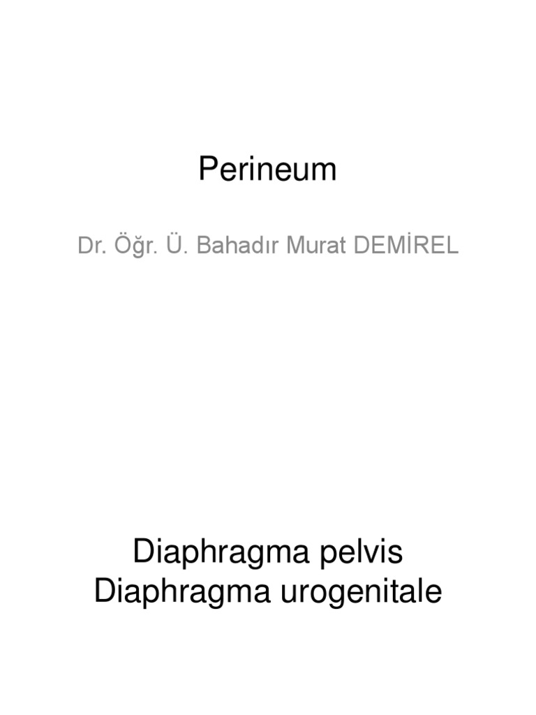 2021-2022 TIP205 Perineum | PDF