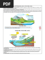 Sopa de letras del ciclo del agua | PDF
